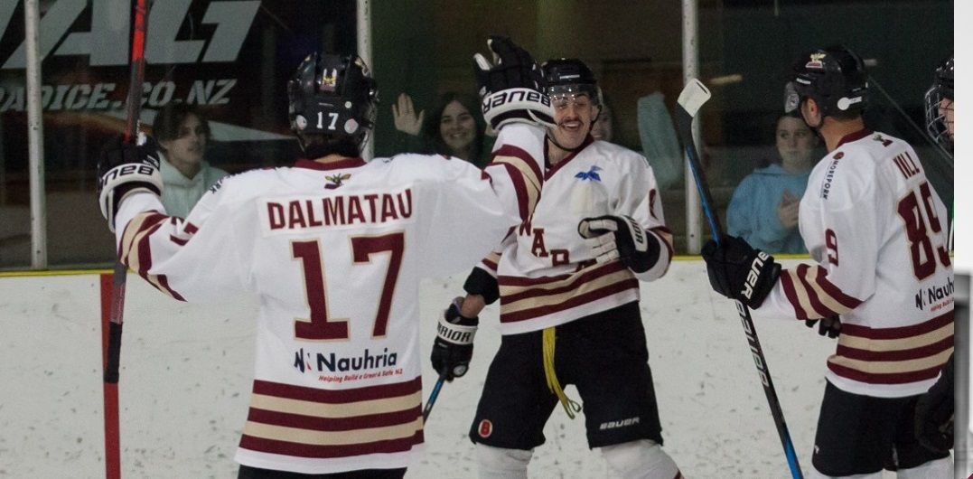 Stepanek goals power Swarm to double win - Counties Sports Hub