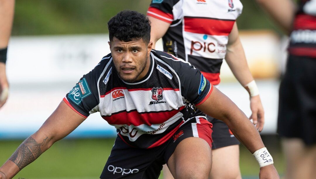 Steelers Development squad named - Counties Sports Hub