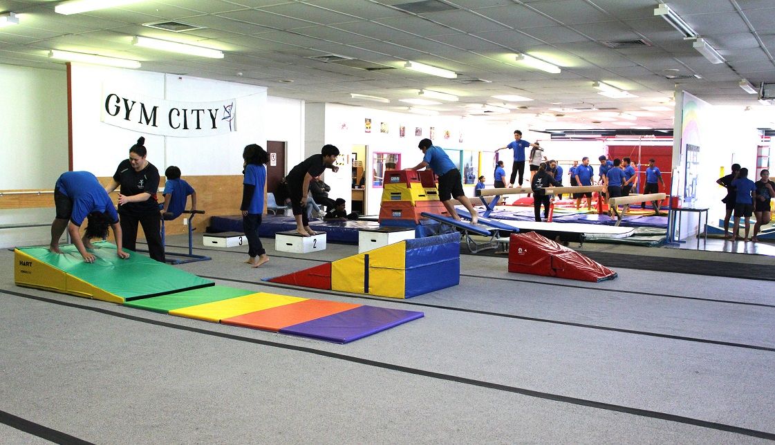 Community help needed to keep Gym City open - Counties Sports Hub