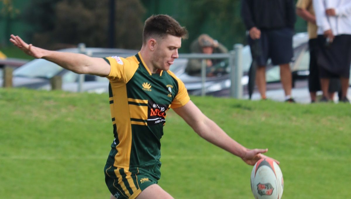 Is this the new Steelers fullback? - Counties Sports Hub