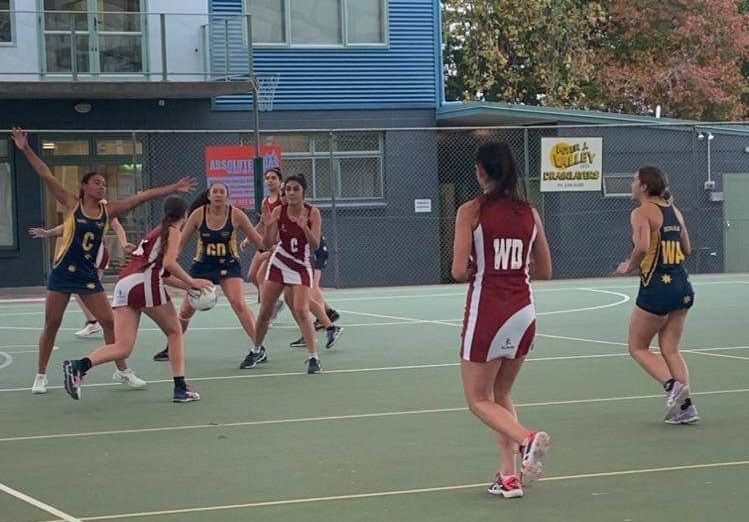 Pythons hands Maramarua first loss - Counties Sports Hub