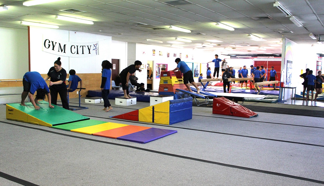 Community help needed to keep Gym City open - Counties Sports Hub